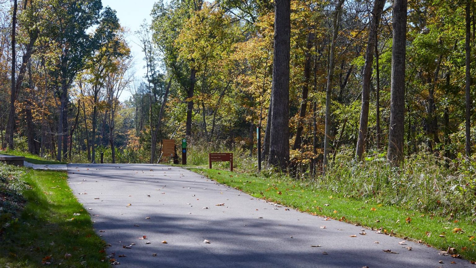 Limestone Gorge | The Parklands of Floyds Fork