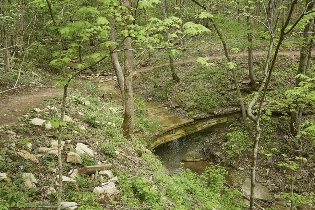 Broad Run Park | The Parklands of Floyds Fork