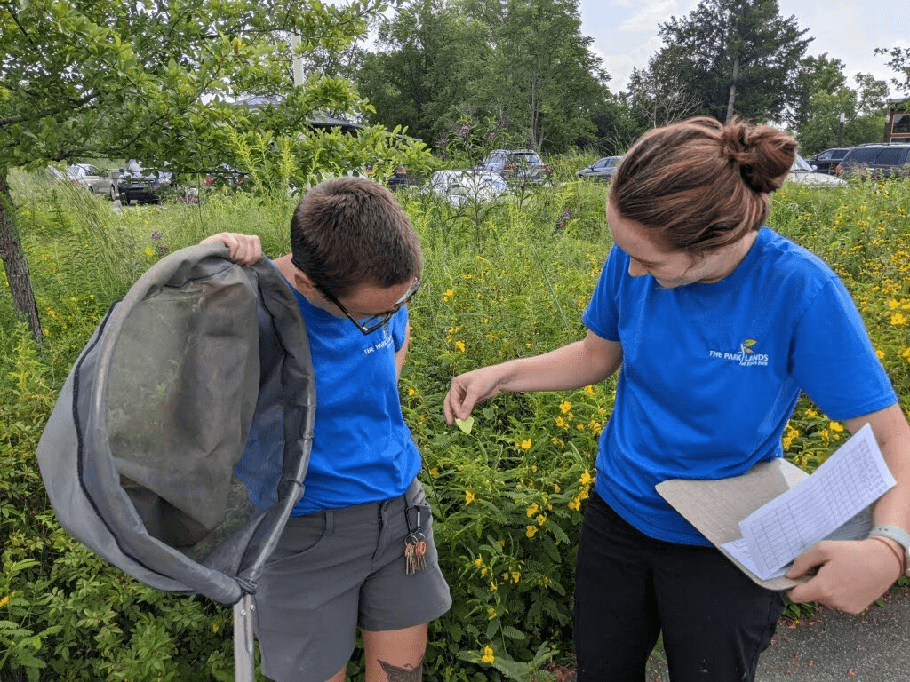 Monarch Monitoring in The Parklands - The Parklands
