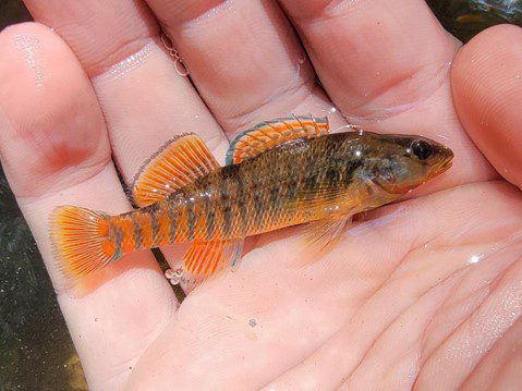 Celebrating World Rivers Day - The Parklands