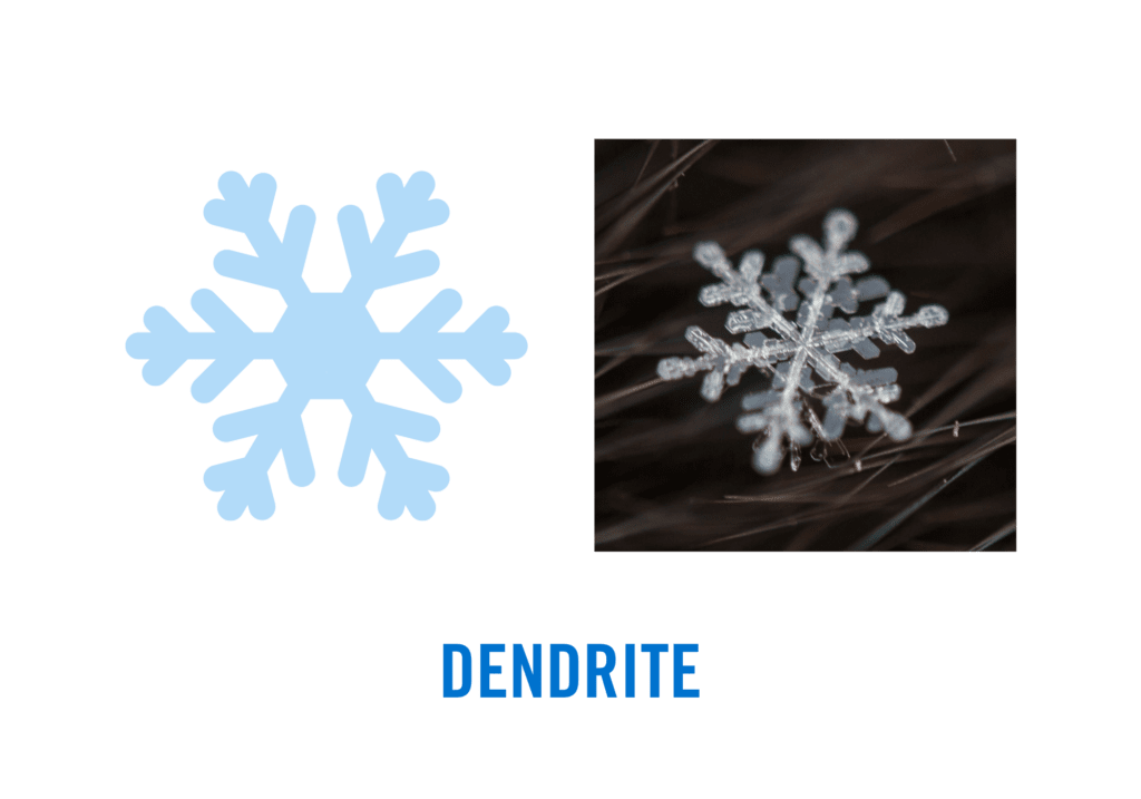 The Science of Snowflakes: Exploring the Formation of Winter's Frozen ...
