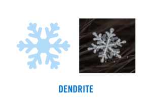 The Science of Snowflakes: Exploring the Formation of Winter's Frozen ...