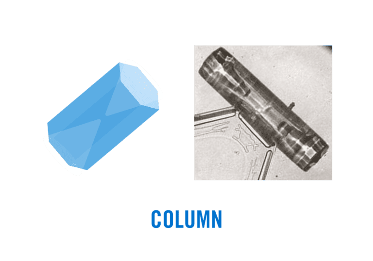 The Science of Snowflakes: Exploring the Formation of Winter's Frozen ...