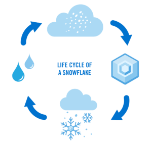 The Science of Snowflakes: Exploring the Formation of Winter's Frozen ...