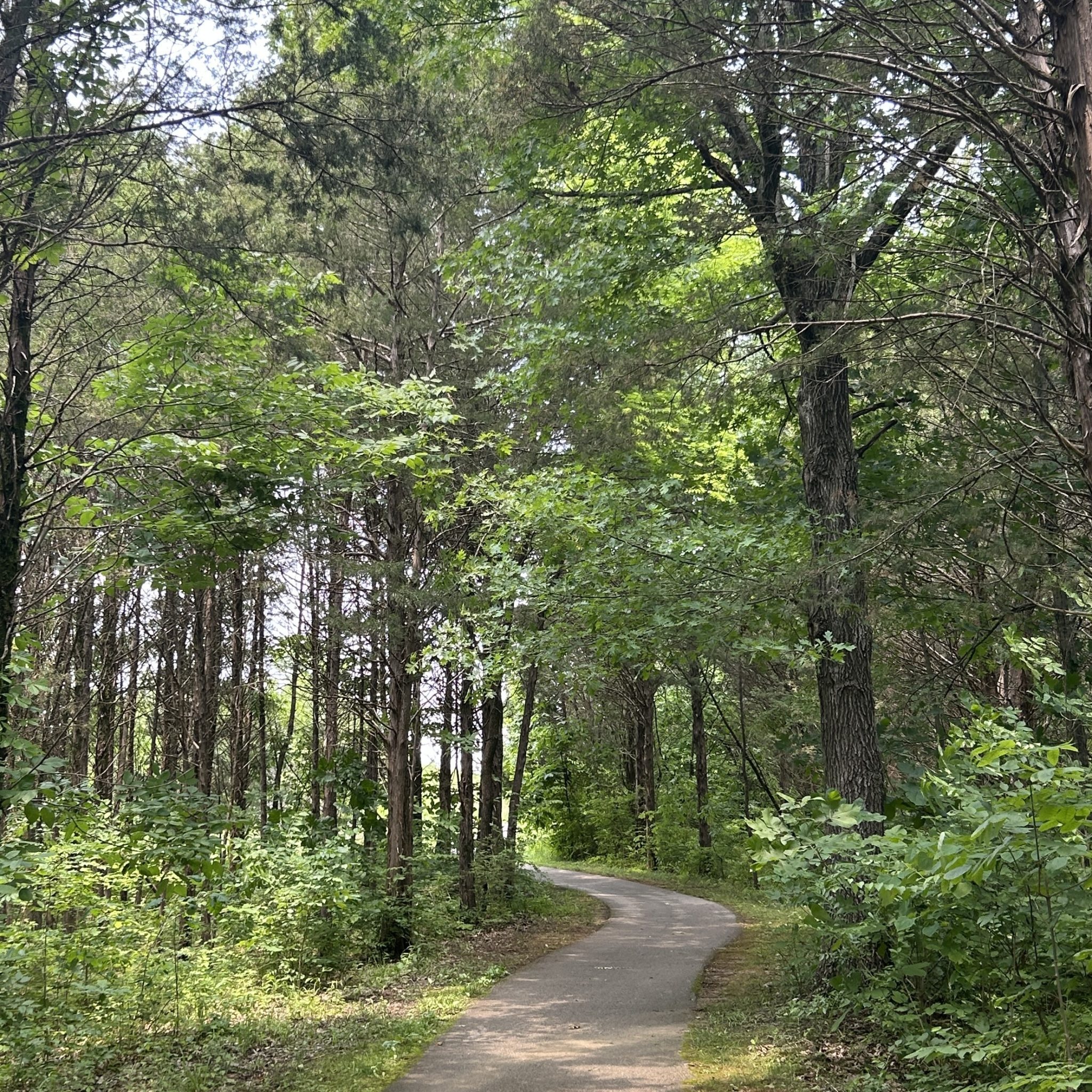 Celebrating 10 Years of Turkey Run Park: A Decade of Adventure - The ...