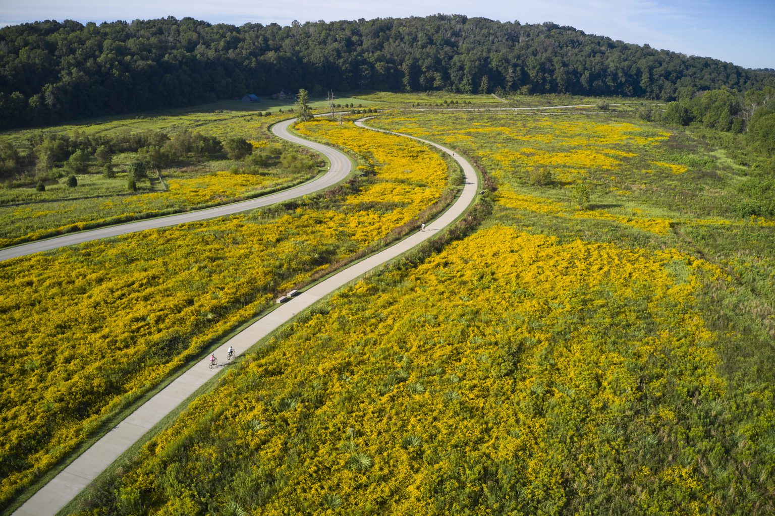Celebrating 10 Years of Turkey Run Park: A Decade of Adventure - The ...